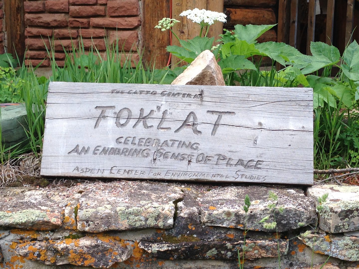 Tales from Toklat - ACES