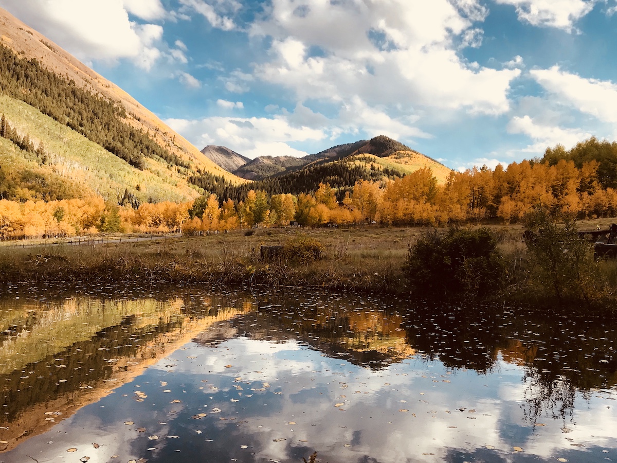 Toklat Membership Picnics - ACES