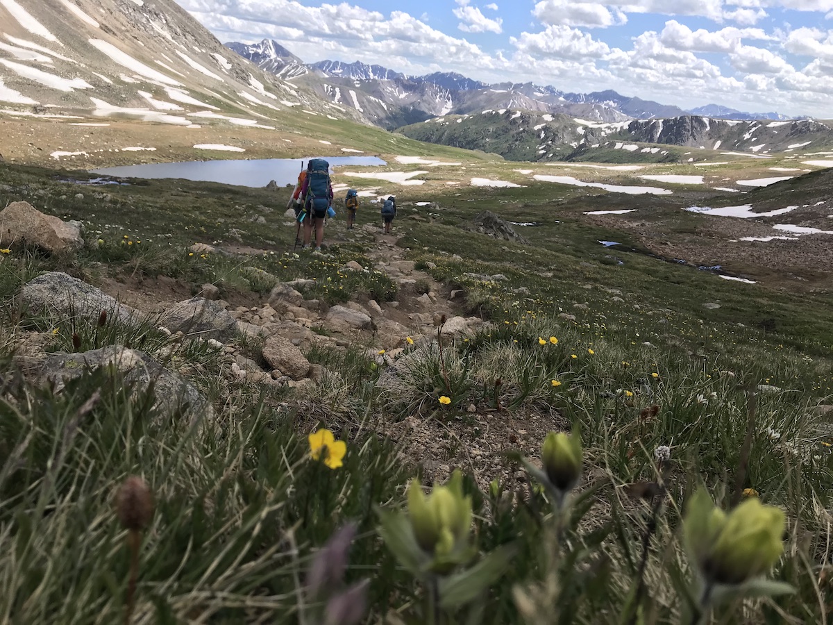 Trook Apprenticeship in Environmental Education - ACES