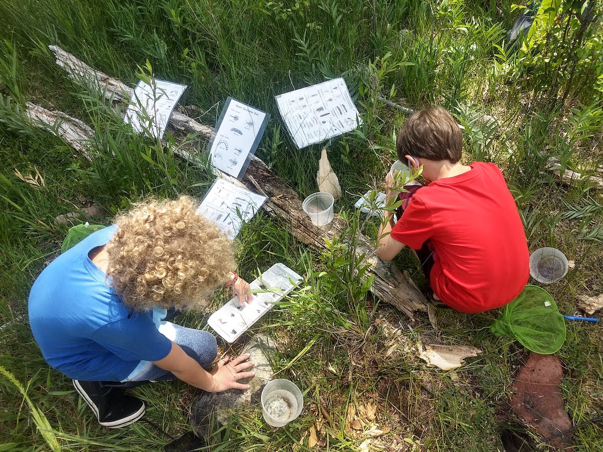 Ranch Detectives - ACES