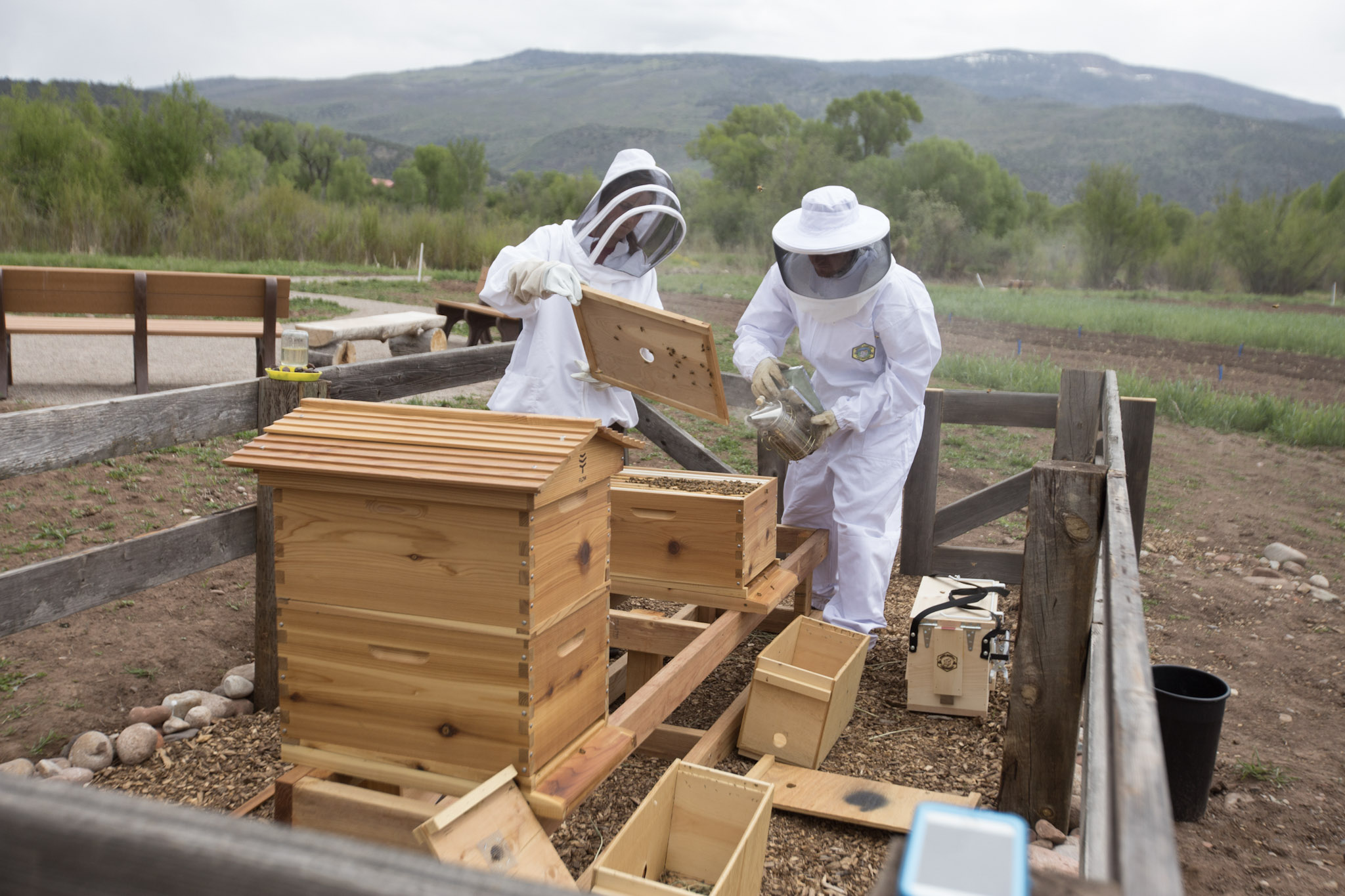 Inside the Beehive - ACES