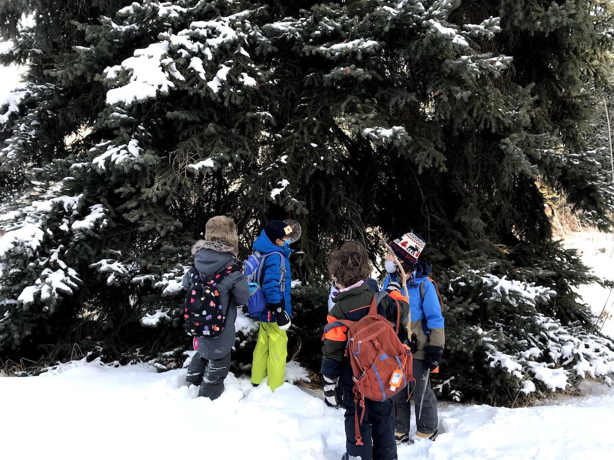 Winter Explorers Camp - Snow Scientists - ACES