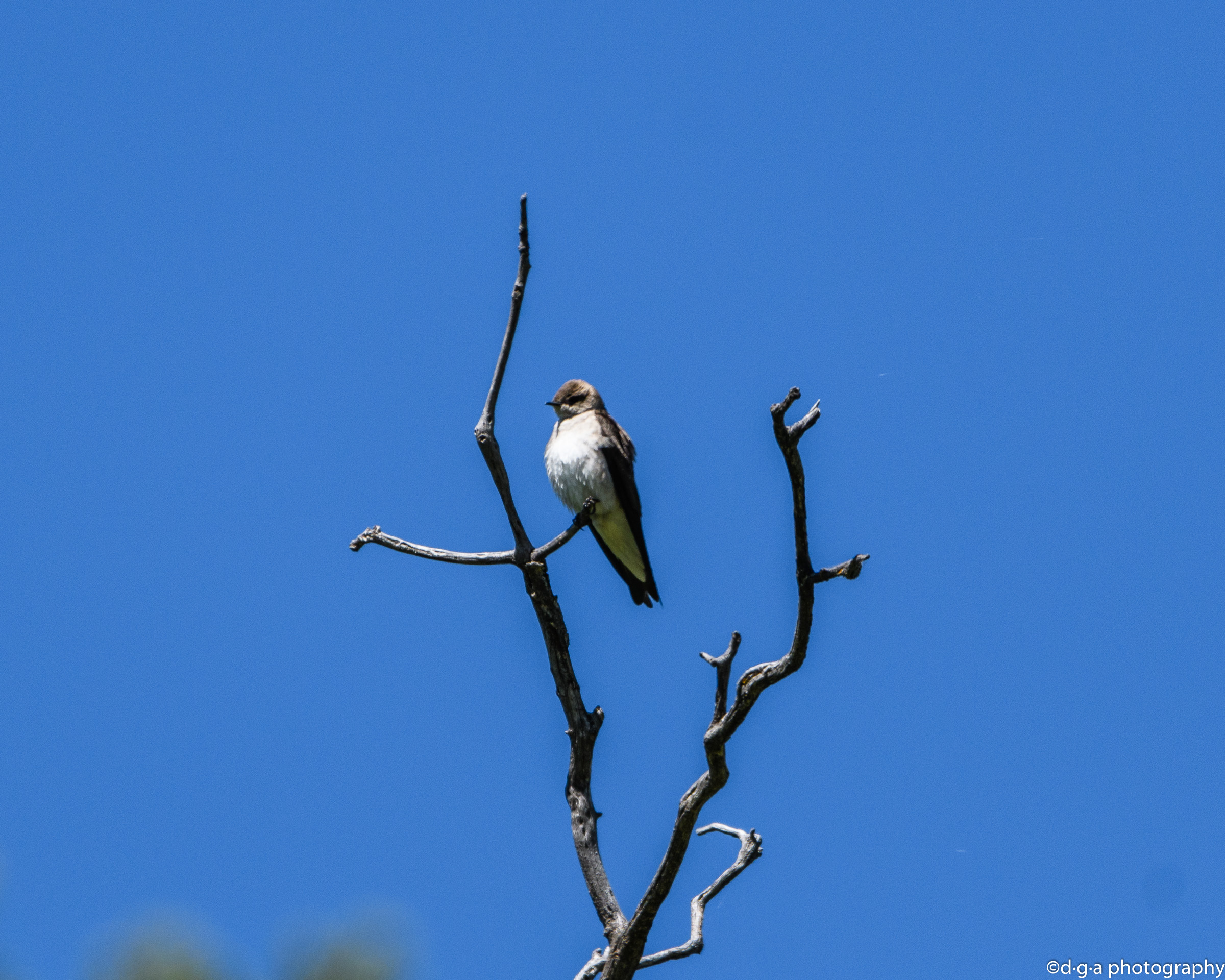 Open Space Fall Bird Migration Field Trip | Upper Roaring Gorge - ACES