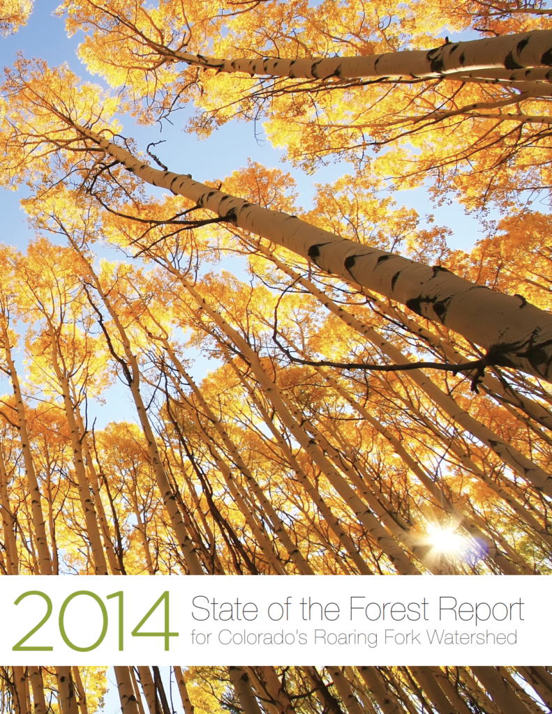 2014 State of the Forest Report - ACES