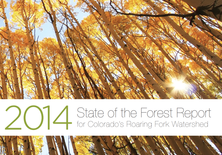 Forest Programs - ACES