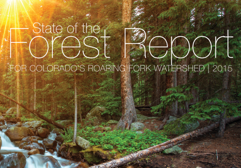 Forest Programs - ACES