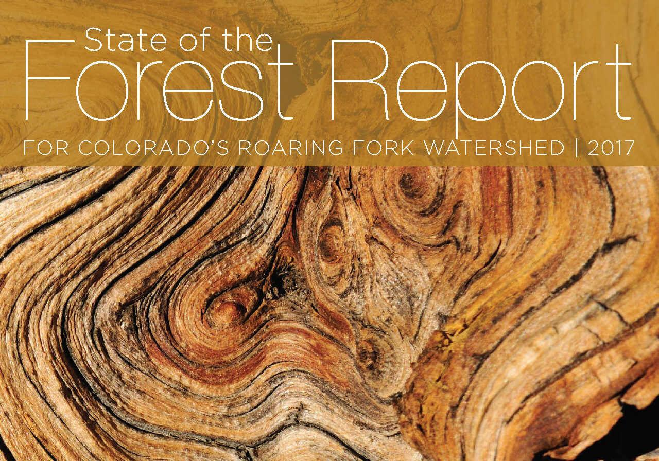 2022 State of the Forest Report - ACES