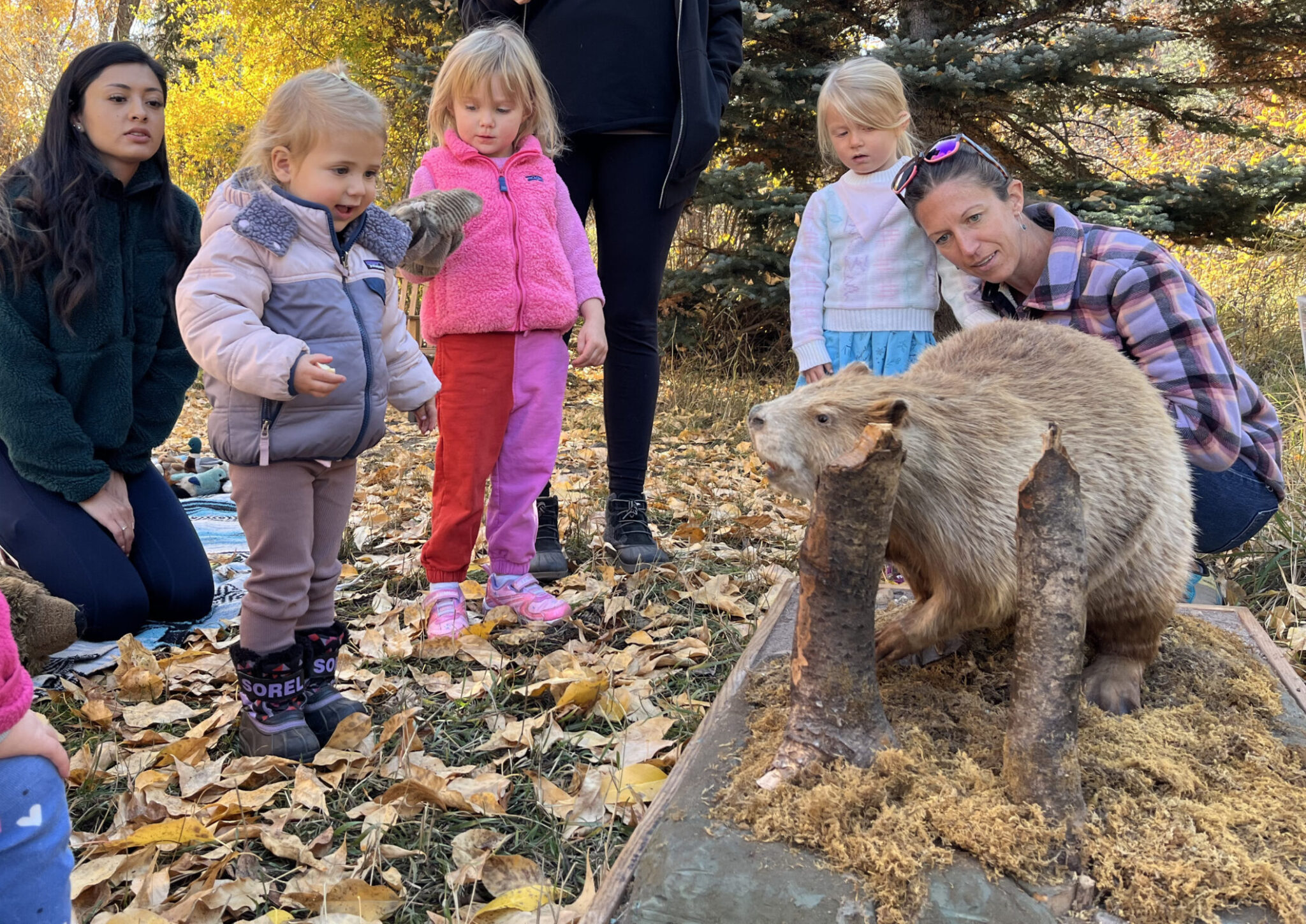 Aspen Center for Environmental Studies - ACES