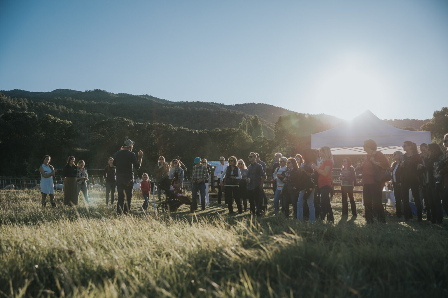 Rock Bottom Ranch in Basalt, Colorado - ACES