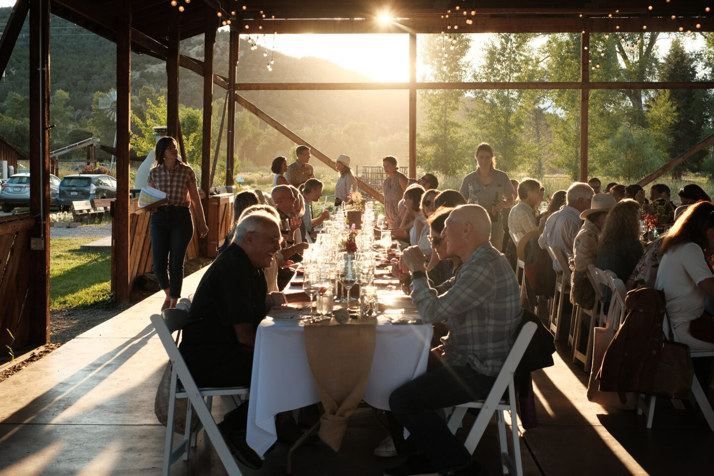 July 2023 Farmer Updates from Rock Bottom Ranch - ACES