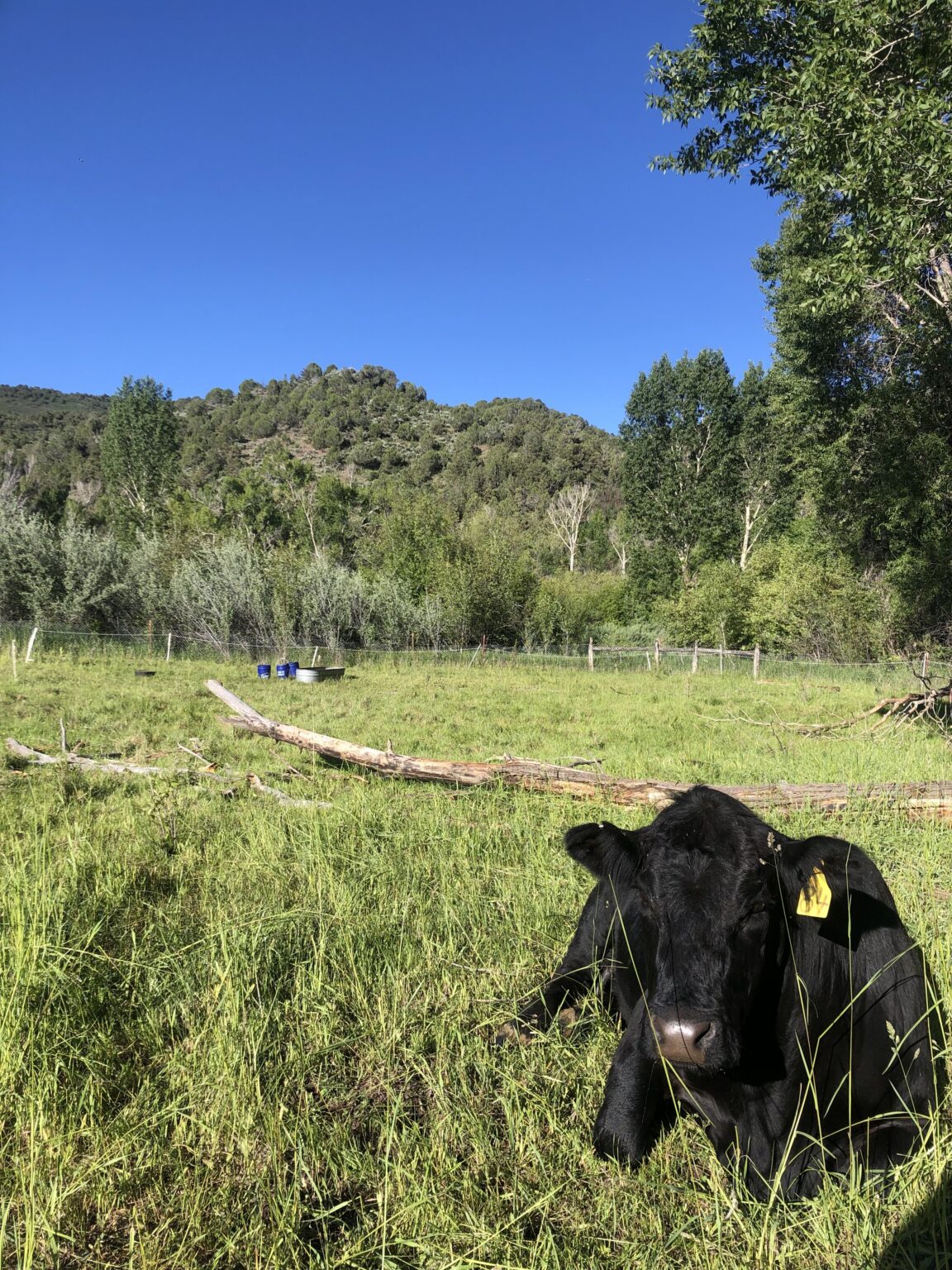 September 2023 Farmer Updates from Rock Bottom Ranch - ACES