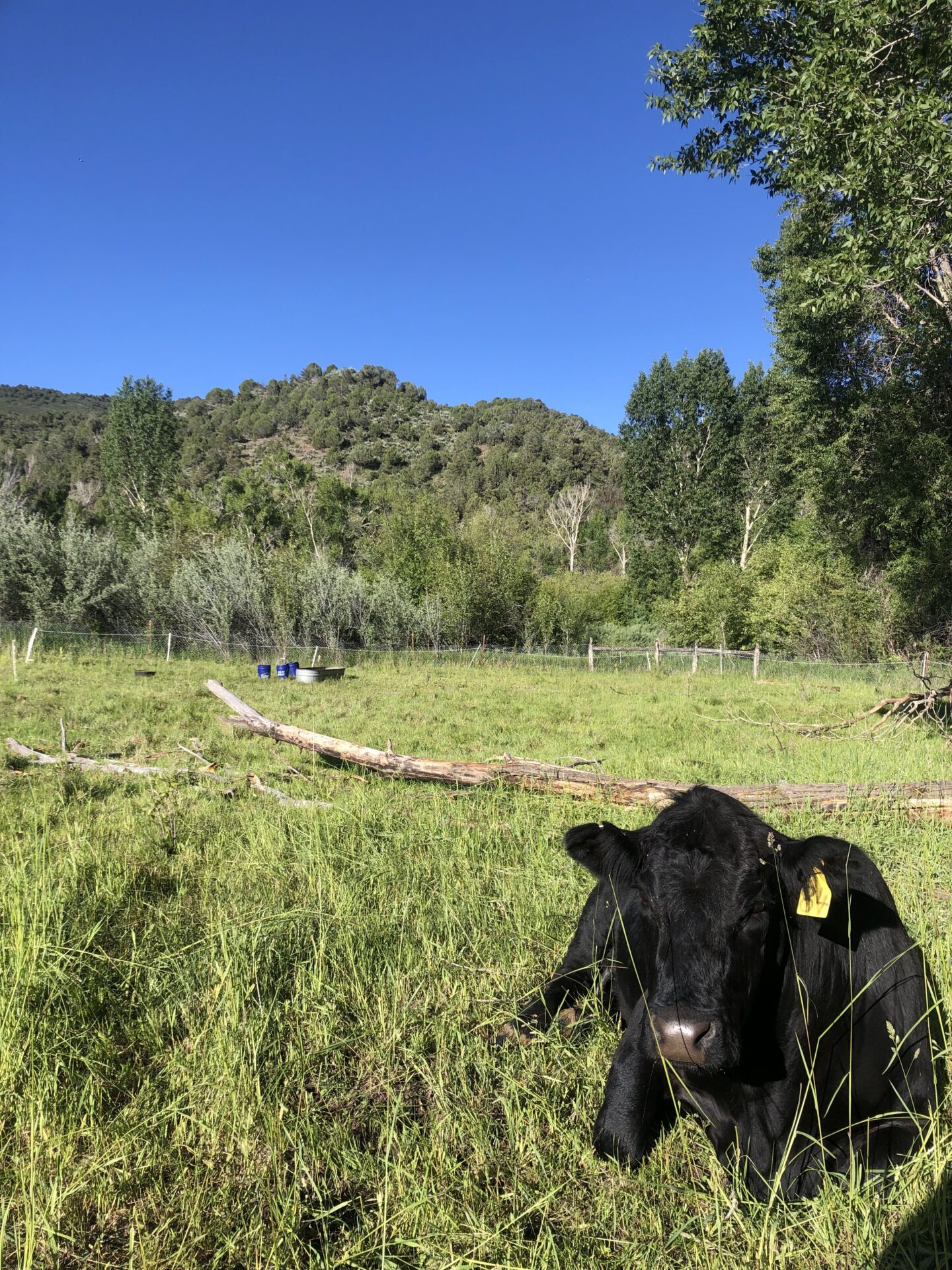 September 2023 Farmer Updates from Rock Bottom Ranch - ACES