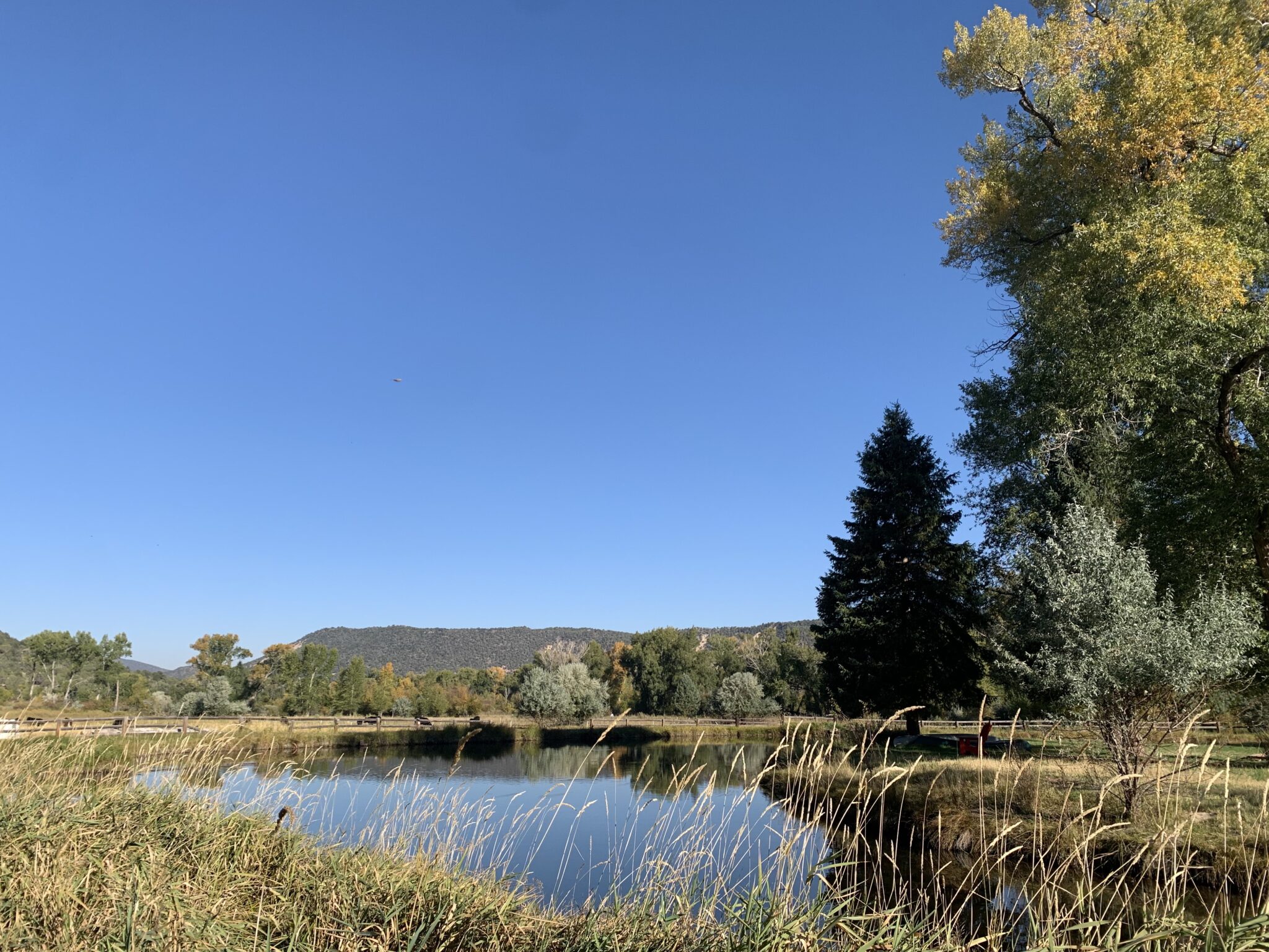 September 2023 Farmer Updates from Rock Bottom Ranch - ACES