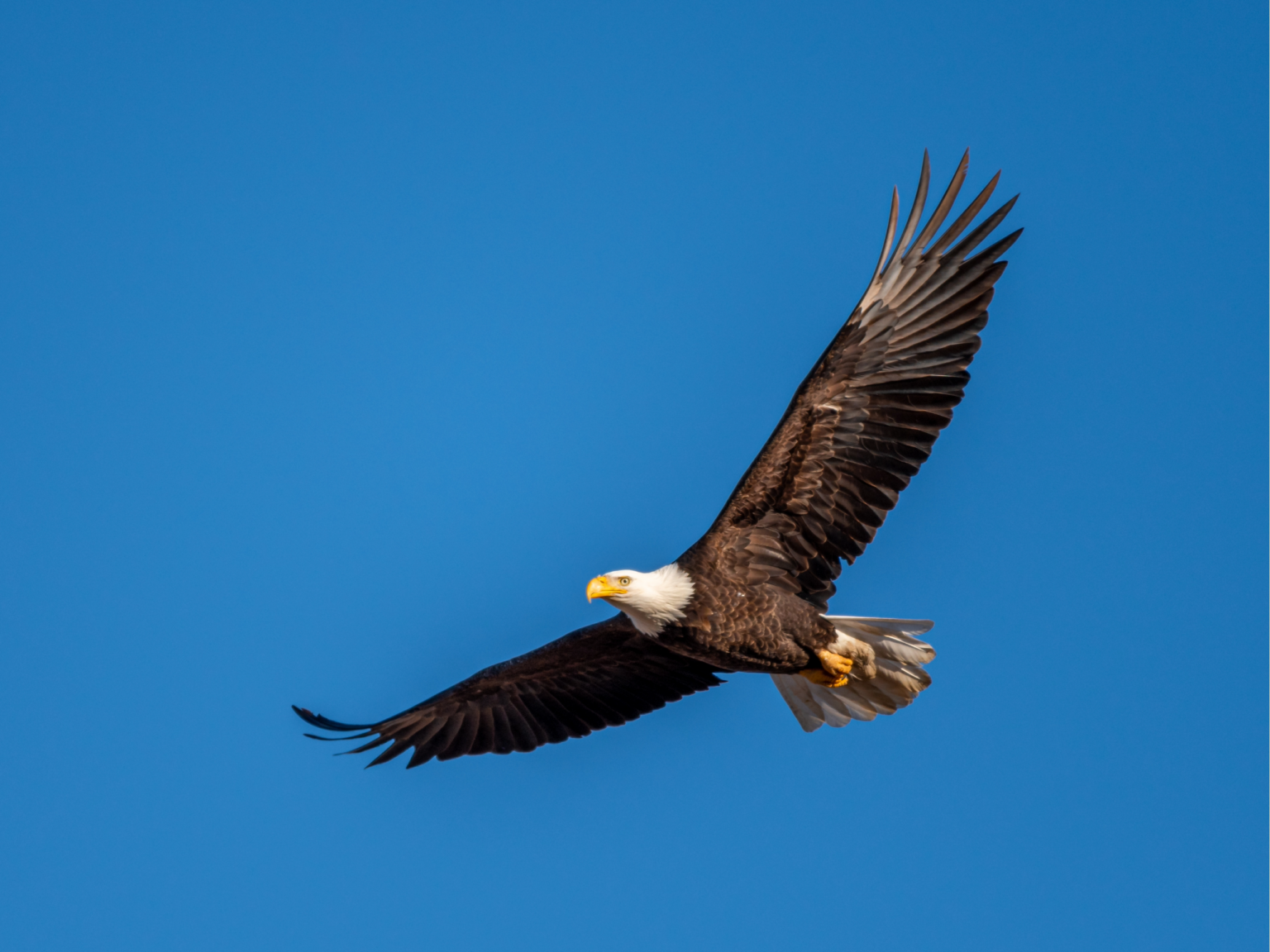 Aspen Center for Environmental Studies - ACES