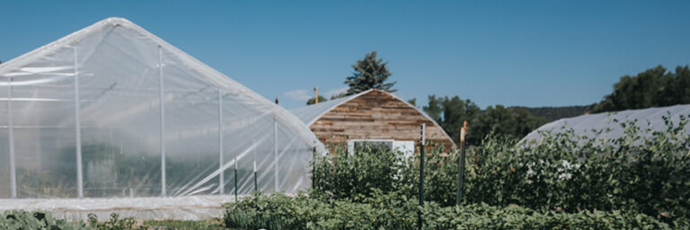 Accesibility at Rock Bottom Ranch - ACES