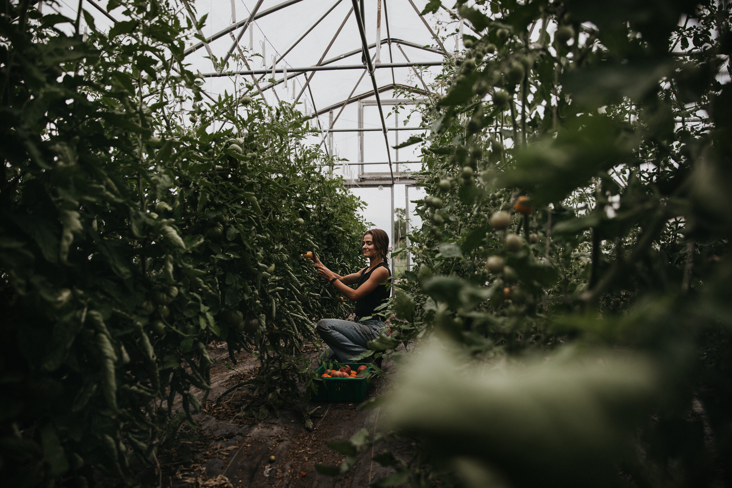 Winter Vegetable Production at Rock Bottom Ranch - ACES