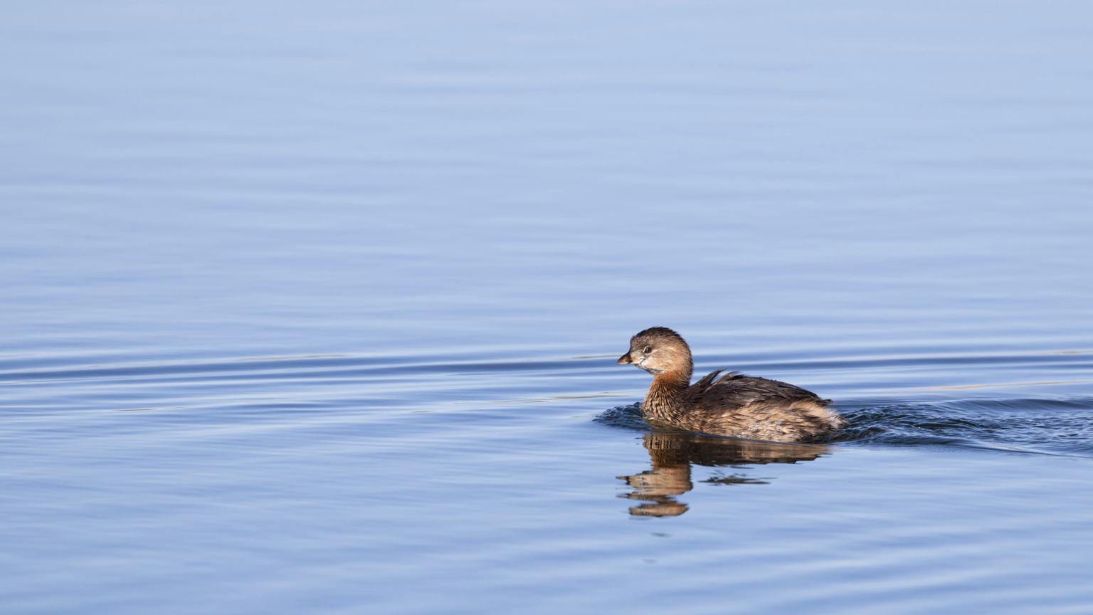 Aspen Center for Environmental Studies - ACES