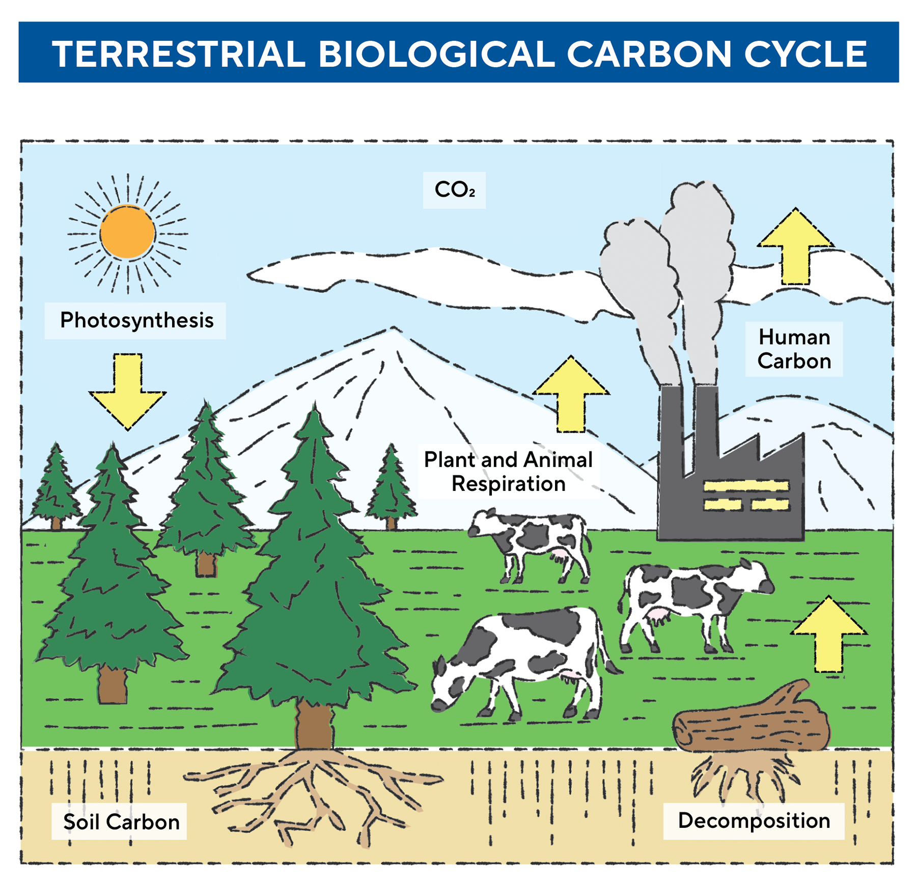 SOTF 2024 Feature Shaping Earth's Climate - ACES