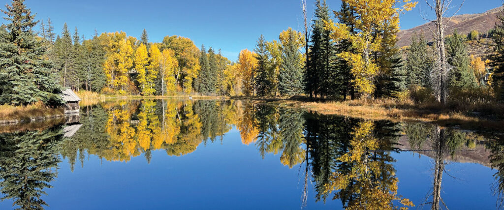 SOTF 2024 Overview - ACES