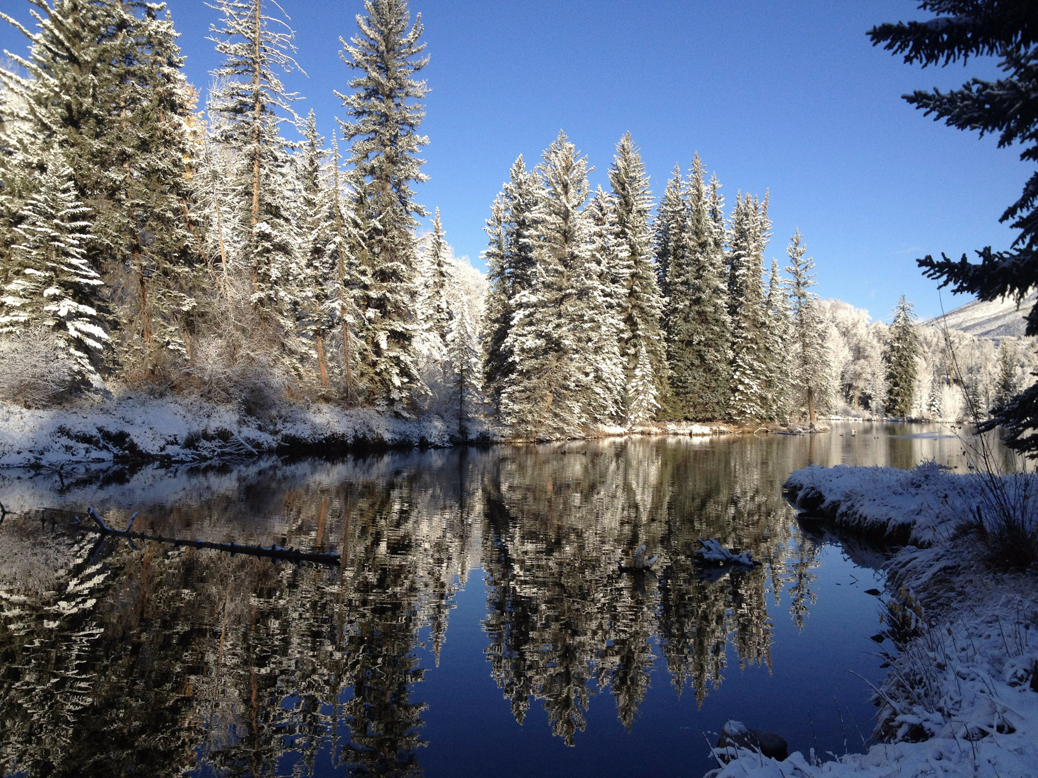 Winter Soundbath & Forest Bathing - ACES
