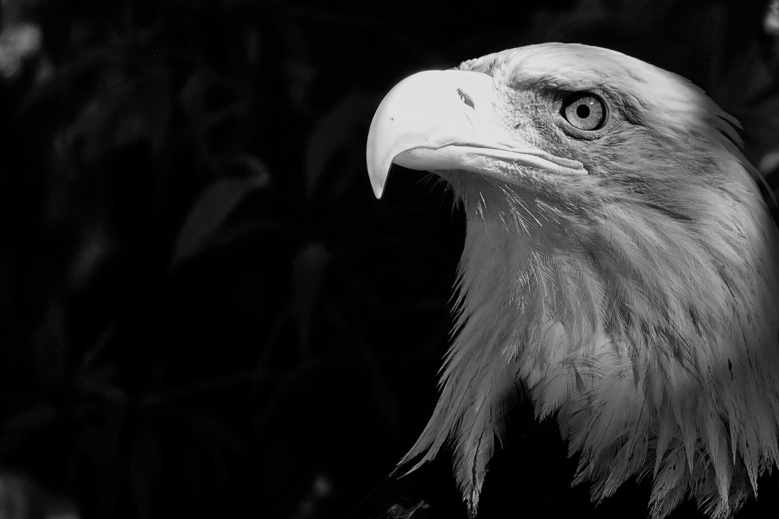 Aspen Center for Environmental Studies - ACES