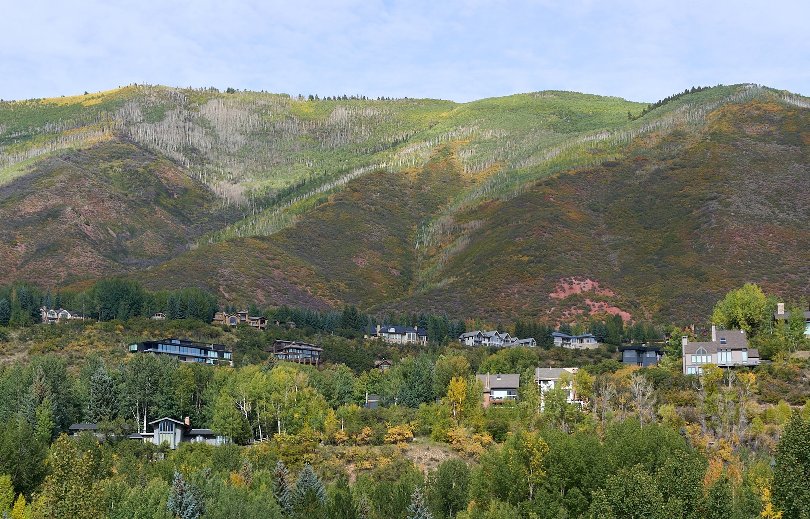 RFV Phenology: Green is out, yellow is in! Or is it? - ACES