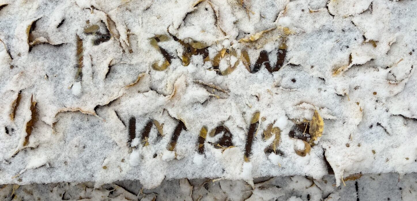 RFV Phenology: First Snowfall in Aspen! - ACES