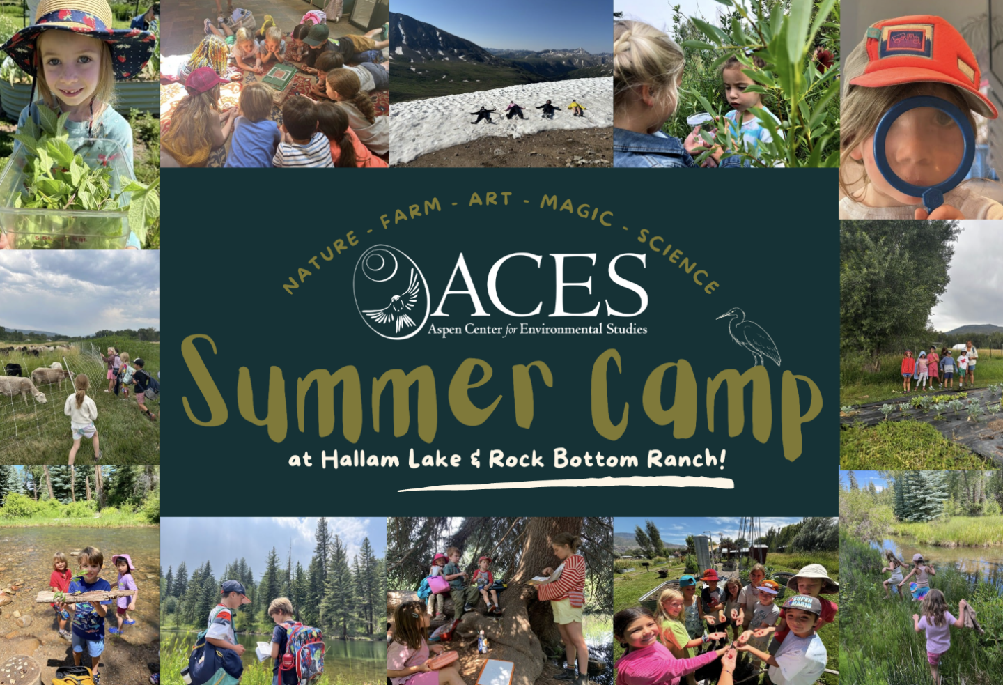 ACES Summer Camp 2026 - ACES